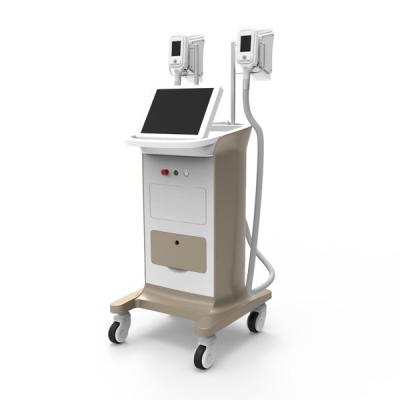 China freezing fat cell slimming machine for sale
