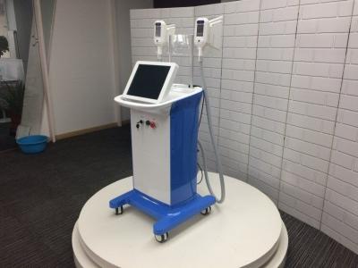 China New 3 handles fat freezing coolsculption cryolipolysi body slimming machine for sale for sale