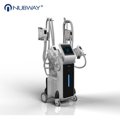 China CE FDA approved fat freezing body  slimming cryo cryolipolysis machine for salon spa for sale
