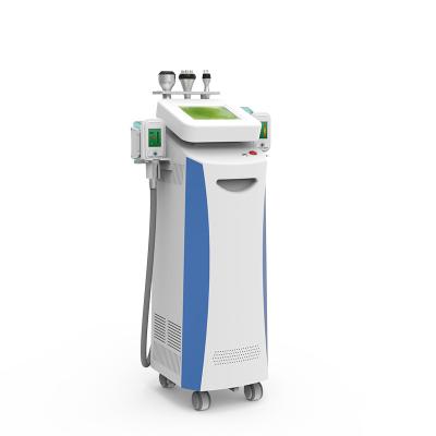China Zelti Sculpting multifunction cryo cellulite reduction cavitation+RF+vacuum slimming machine for sale