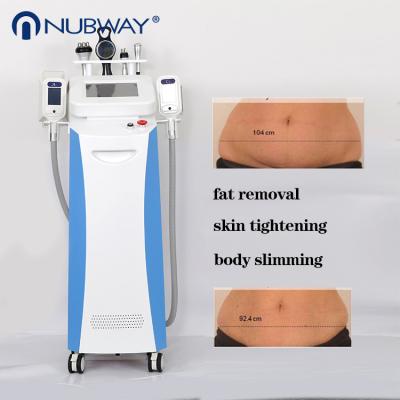 China Fat freezing 360 degree criolipolisis 4 handles liposuction belly fat reducing machine for sale
