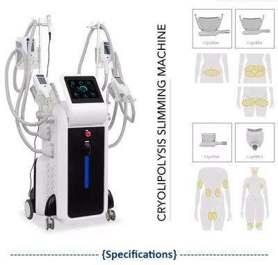 China CE approval cryolipolysi slim weight loss machine fat freezing machine Christma Promotion for sale