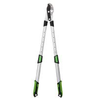 China Multi-Purpose Cutting Telescopic Tree Loppers for Garden Tools Pruning Shear Performance for sale