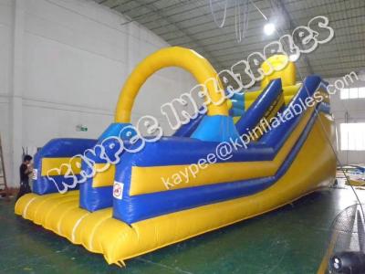 China Hot sell Inflatable slide, ,Inflatable standard slide for sale