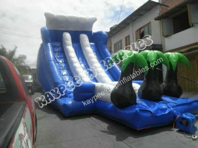 China Hot Sell Inflatable palm tree slide ,Inflatable water slide,inflatable wet dry slide for sale