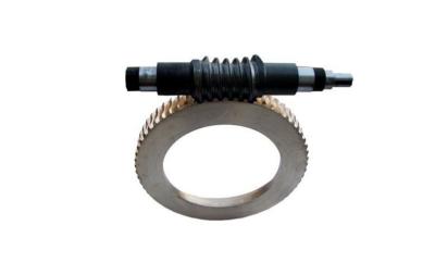 China Nonstandard Micro Worm Gear For Small Transmission Motor Pantone Colors for sale
