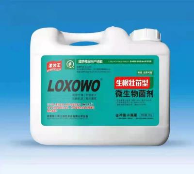 Cina Fertilizzante biologico per l'agricoltura microbico Inoculante Acido poliglutamico Fertilizzante speciale per frutta in vendita