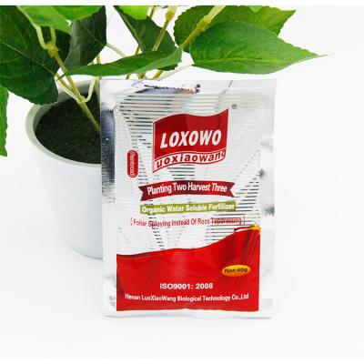 Cina Potassio magnesio solfato salino fertilizzante organico solubile in vendita