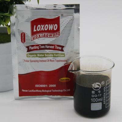 China Compañía certificada ISO Resistente a enfermedades Hoja orgánica 100% soluble en agua en venta