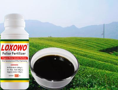 Cina Fertilizzante idrosolubile organico di alta qualità al 100% Estratto di alghe marine liquido Agricoltura in vendita
