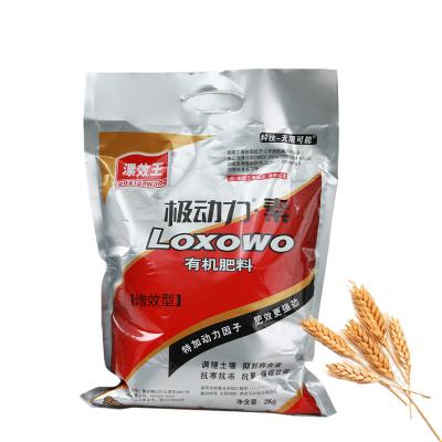 Cina Estratto di alghe di mare Fertilizzanti ad alta efficienza favoriscono la crescita di frutta e semi sani in vendita