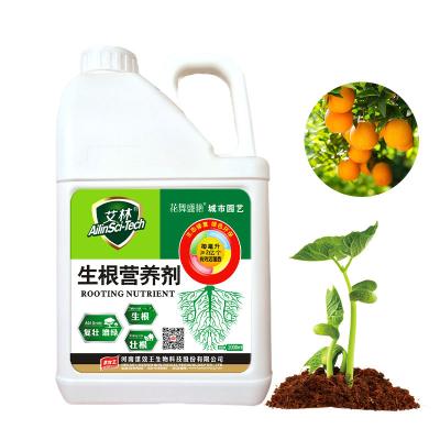 Chine 10% K2o Humate de potassium engrais pour la croissance des racines des plantes horticoles à vendre