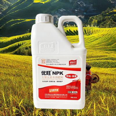 Cina Liquido 100% NPK Fertilizzante idrosolubile NPK 17 Fertilizzante vegetale Trace element Drip irrigation in vendita