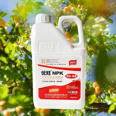 Cina Liquido 100% NPK Fertilizzante idrosolubile NPK 17 Fertilizzante vegetale Trace element Drip irrigation in vendita