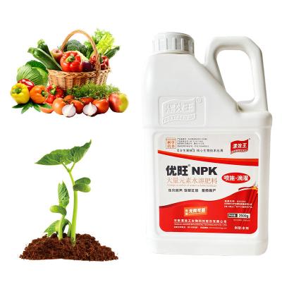 Cina Ortaggi NPK Fertilizzante idrosolubile 19-19-19 Fertilizzante NPK composto Per le colture agricole Frutta in vendita