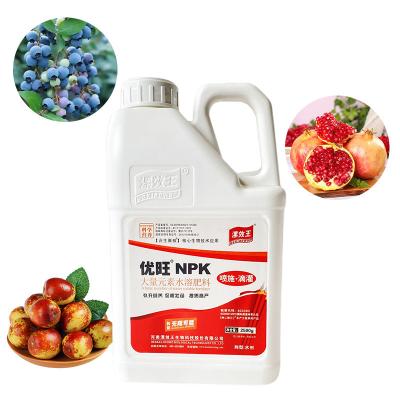 Cina Regolamento sulla crescita delle piante di fertilizzanti idrosolubili NPK a rilascio lento in vendita