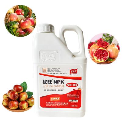 Cina Fertilizzante composto NPK idrosolubile e bilanciato 19-19-19 con oligoelementi in vendita