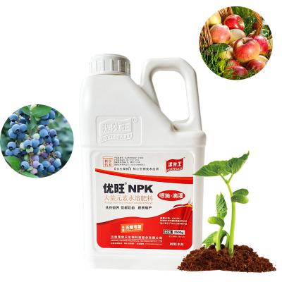 Cina Fertilizzante composto NPK idrosolubile e bilanciato 19-19-19 con oligoelementi in vendita