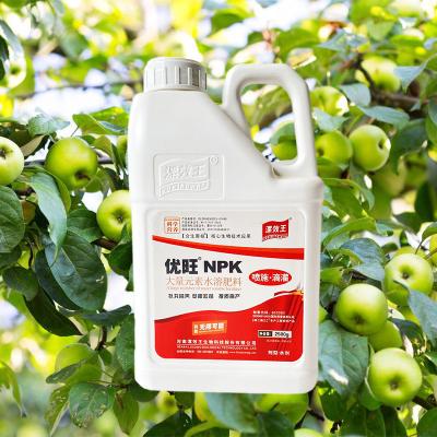 China NPK 19-19-19 NPK Solúvel em água Fertilizante vegetal e de frutas à venda