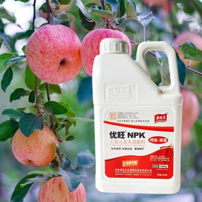 China NPK 19-19-19 NPK Solúvel em água Fertilizante vegetal e de frutas à venda
