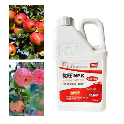 China Landbouw NPK Wateroplosbare meststof Zeegrassextract Poederplant Zeegras NPK19-19-19 Te koop