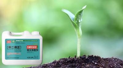 Cina Conditioner organico del suolo concime fermentato microbico in vendita