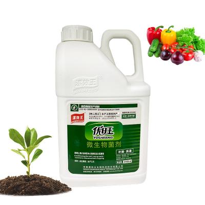 Cina Fertilizzante organico liquido microbico idrosolubile per la crescita e condizionatore del suolo in vendita