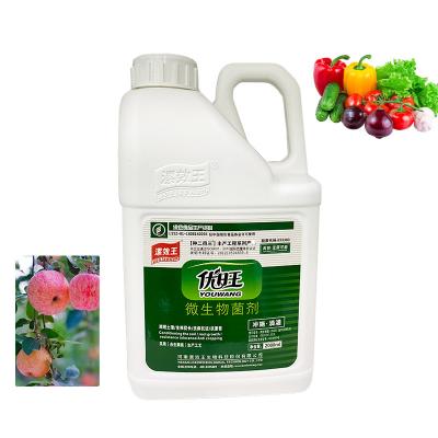 Cina Fertilizzante organico liquido microbico idrosolubile per la crescita e condizionatore del suolo in vendita