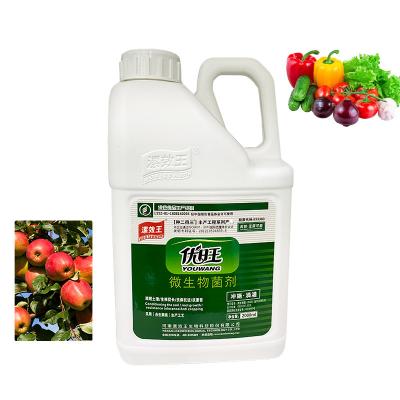 Cina Fertilizzante organico liquido microbico idrosolubile per la crescita e condizionatore del suolo in vendita
