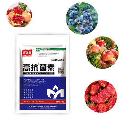 Cina Fertilizzante misto a rilascio lento Nutriente vegetale Granuli di acido umico per NPK Fertilizzante misto di urea in vendita
