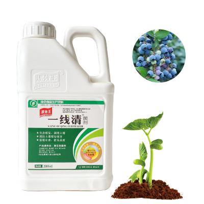 Cina Estratto di alghe marine Conditioner del suolo Fertilizzante Fornire nutrienti e sani per le colture in vendita