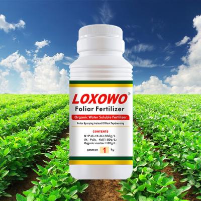 China Npk Fertilizante natural soluble en agua que contiene ácido húmico en venta