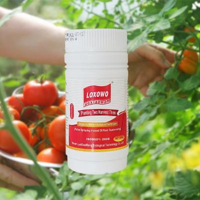 Cina Fertilizzante organico Npk Biostimulanti Estratto di alghe naturali liquide in vendita