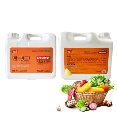 Cina 5 L Npk Water Soluble Liquid Fertilizer Rich In Multiple Nutrients in vendita