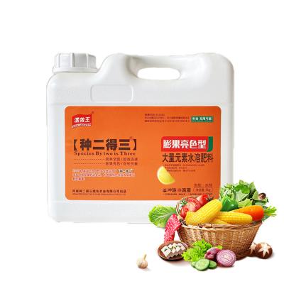 Cina 5 L Npk Water Soluble Liquid Fertilizer Rich In Multiple Nutrients in vendita