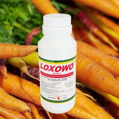 China Natural Green Foliar Organic Water Soluble Fertilizer Nutrient Rich for sale