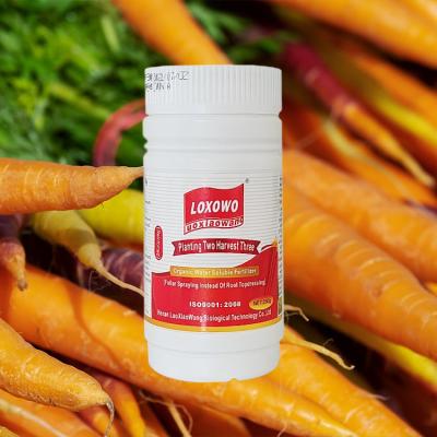 Cina LOXOWO Organic Water Soluble Plant Food Humic Acid Foliar in vendita