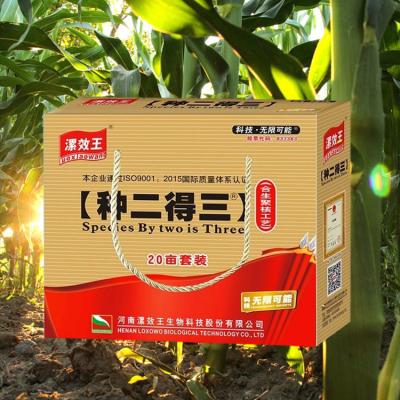 Cina Effective Natural Npk Nutrition Hydroponic Solution Plant Growth Organic Liquid Garden Fertilizer For Vegetable in vendita