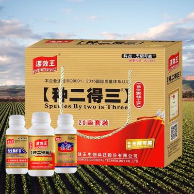 Cina Organic Liquid Fertilize For Plants And Water-Soluble Fertilize For Fruit Trees And Vegetable in vendita