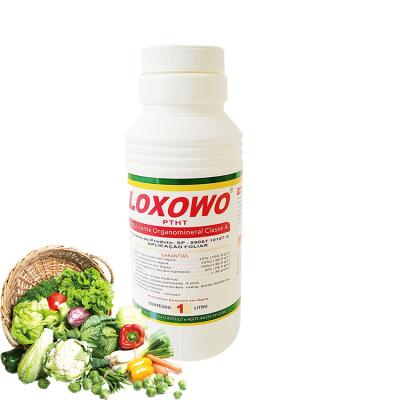 Cina Massimizzare la produttività delle colture con fertilizzanti vegetali liquidi idroponici radicali in vendita