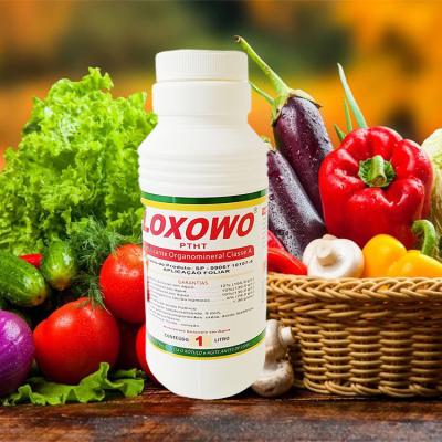 Cina Massimizzare la produttività delle colture con fertilizzanti vegetali liquidi idroponici radicali in vendita