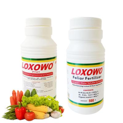 Cina 10-10-10 Fertilizzante liquido organico per foglie Migliora lo sviluppo delle radici delle piante in vendita