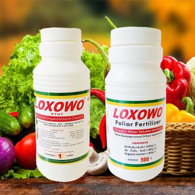 Cina 10-10-10 Fertilizzante liquido organico per foglie Migliora lo sviluppo delle radici delle piante in vendita