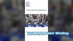 BLDC Stator Needle Winding Machine Fast & Precise
