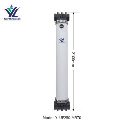 China Interchangeable PES Membrane Module for Ultrafiltration Systems with 1 Year Warranty for sale