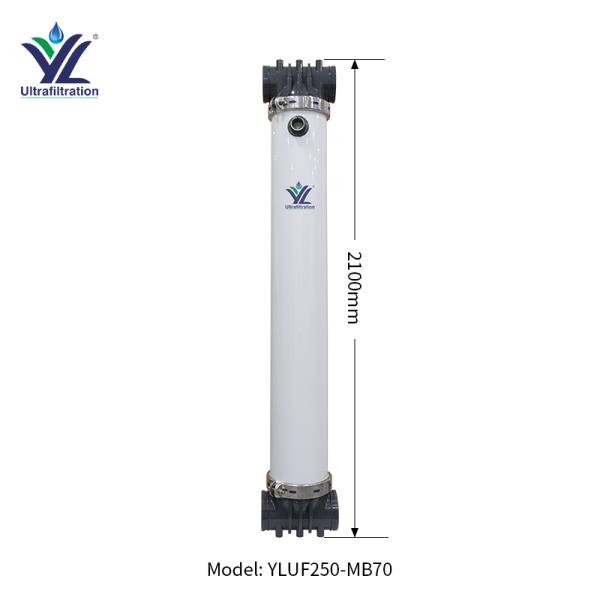Quality Interchangeable PES Membrane Module for Ultrafiltration Systems with 1 Year Warranty for sale
