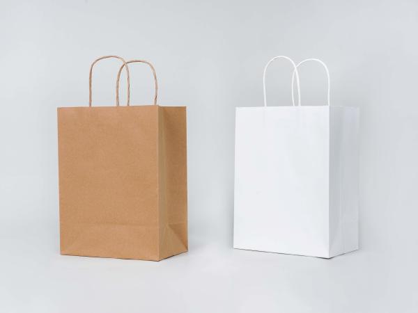 Quality White And Brown Twisted Handle Paper Bags Biodegradable Kraft Paper Carrier Bags for sale