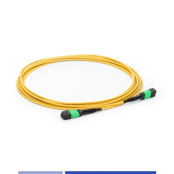 Quality 12 Core MTP® Fiber Optic Patch Cord Female Singlemode G652D 10m Fiber Patch Cables OFNP Type B for sale