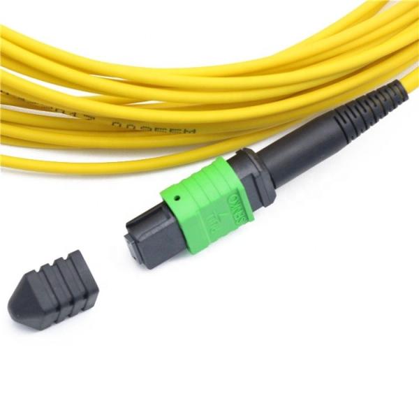 Quality 12 Core Singlemode OS2 MTP® Fibre Patch Cable Female To SC Simplex 3m LSZH for sale