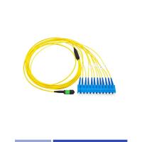 Quality 12 Core Singlemode OS2 MTP® Fibre Patch Cable Female To SC Simplex 3m LSZH for sale